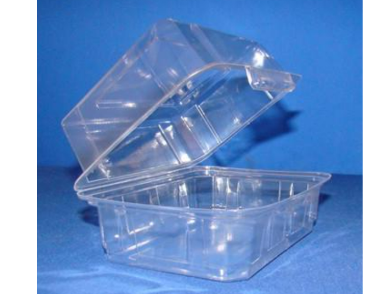 View All rPET Bakery Packaging | Berica Packaging NZ